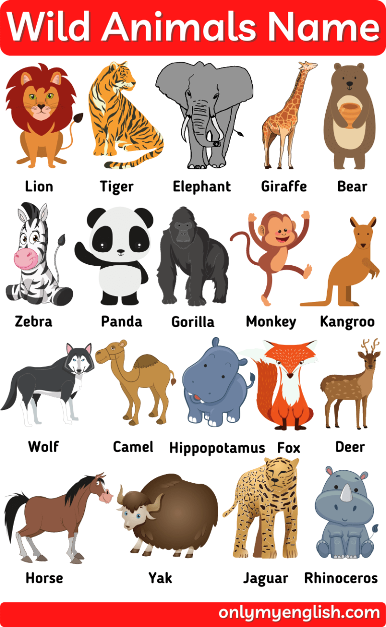 50+ Animals Name in English with Pictures