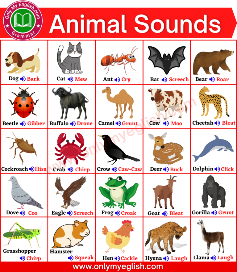 Animal Sounds Name List in English » Onlymyenglish.com