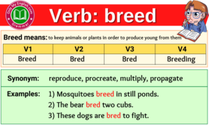 Leave Verb Forms - Past Tense, Past Participle & V1V2V3