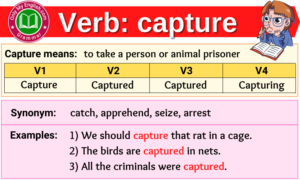 Pay Verb Forms - Past Tense, Past Participle & V1V2V3 » Onlymyenglish.com
