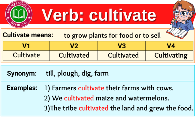 Leave Verb Forms - Past Tense, Past Participle & V1V2V3