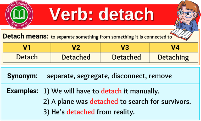 Drop Verb Forms - Past Tense, Past Participle & V1V2V3 » Onlymyenglish.com