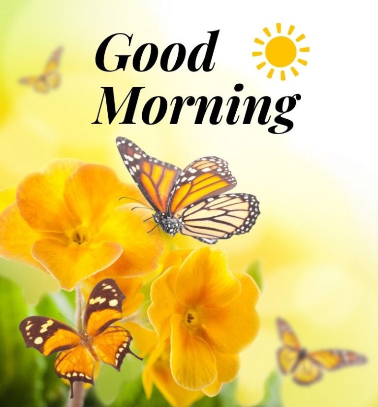 500+ New Good Morning Images, Quotes, & Wishes » Onlymyenglish.com