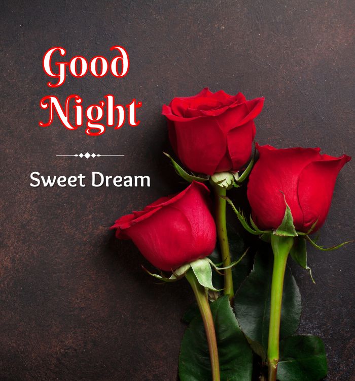 Latest Good Night Wallpaper Infoupdate