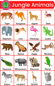 30+ Jungle Animals List with Pictures » Onlymyenglish.com