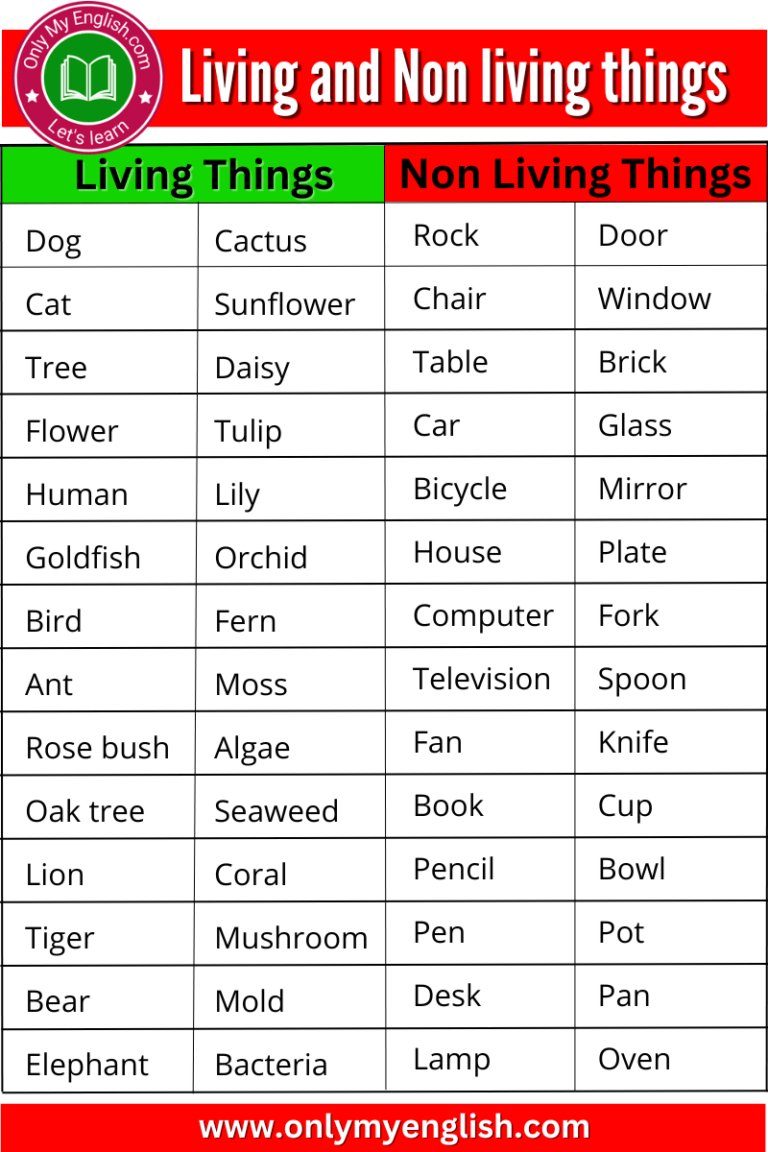 Living and Non living things » Onlymyenglish.com