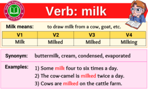 Conduct Verb Forms - Past Tense, Past Participle & V1V2V3
