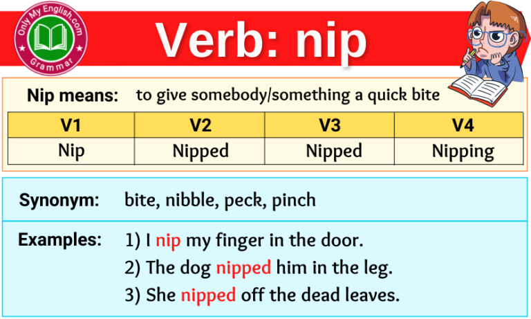 Cut Verb Forms - Past Tense, Past Participle & V1V2V3 » Onlymyenglish.com