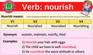 Reply Verb Forms - Past Tense, Past Participle & V1V2V3