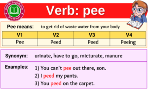 Seem Verb Forms - Past Tense, Past Participle & V1V2V3