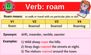 Drop Verb Forms - Past Tense, Past Participle & V1V2V3 » Onlymyenglish.com