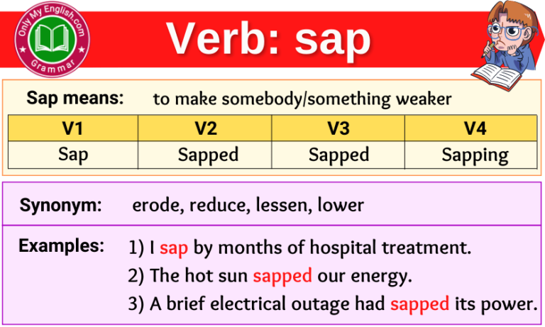 Borrow Verb Forms - Past Tense, Past Participle & V1V2V3