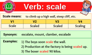 Build Verb Forms - Past Tense, Past Participle & V1V2V3 » Onlymyenglish.com