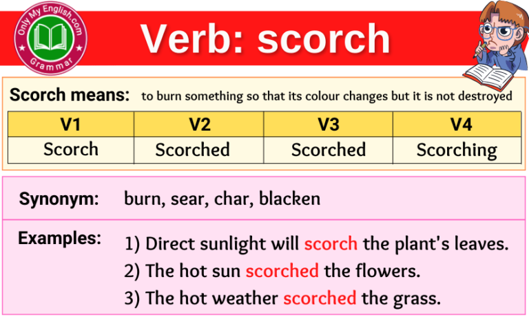 Spend Verb Forms - Past Tense, Past Participle & V1V2V3