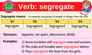 Gather Verb Forms - Past Tense, Past Participle & V1V2V3