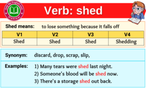 Finish Verb Forms - Past Tense, Past Participle & V1V2V3
