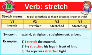 Stay Verb Forms - Past Tense, Past Participle & V1V2V3 » Onlymyenglish.com