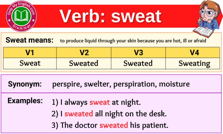 Return Verb Forms - Past Tense, Past Participle & V1V2V3