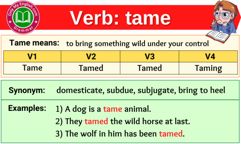 Win Verb Forms - Past Tense, Past Participle & V1V2V3 » Onlymyenglish.com