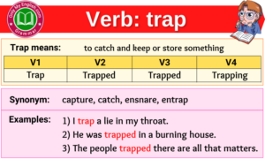 Dream Verb Forms - Past Tense, Past Participle & V1V2V3