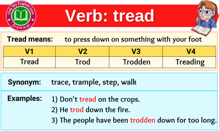 Become Verb Forms - Past Tense, Past Participle & V1V2V3