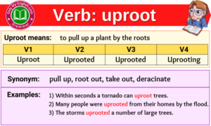 Sew Verb Forms - Past Tense, Past Participle & V1V2V3 » Onlymyenglish.com
