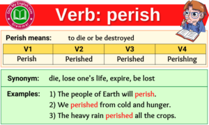Cook Verb Forms - Past Tense, Past Participle & V1V2V3 » Onlymyenglish.com