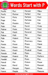 300+ Words That Start with P | Words Starting with P